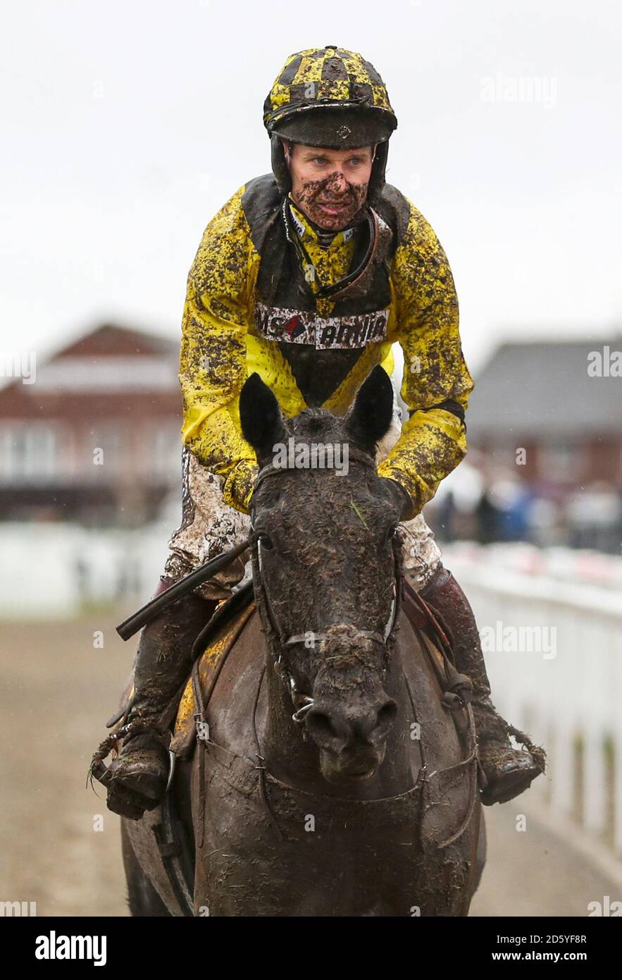 Elixir de nutz horse hi-res stock photography and images - Alamy