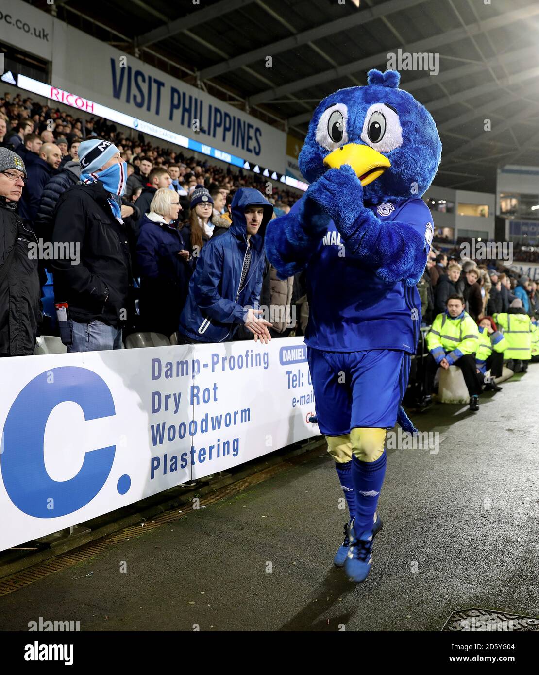 Cardiff city mascot hi-res stock photography and images - Alamy