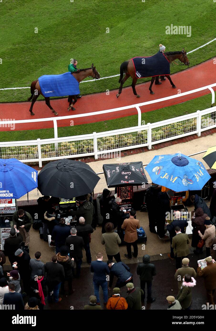 Horses in the parade ring Stock Photo - Alamy