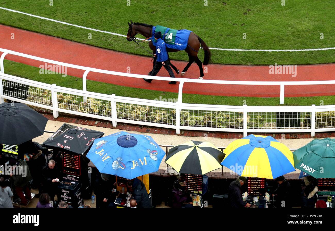 Ultragold in the parade ring before the Crest Nicholson Handicap Chase ...