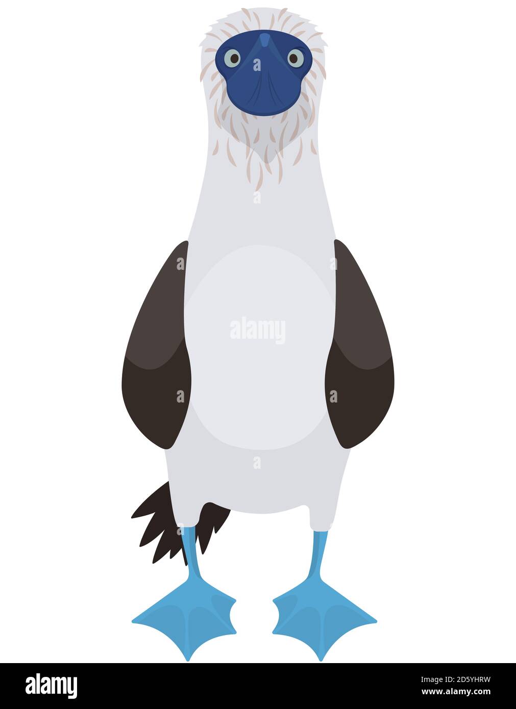 Blue animal bird fauna Stock Vector Images - Alamy