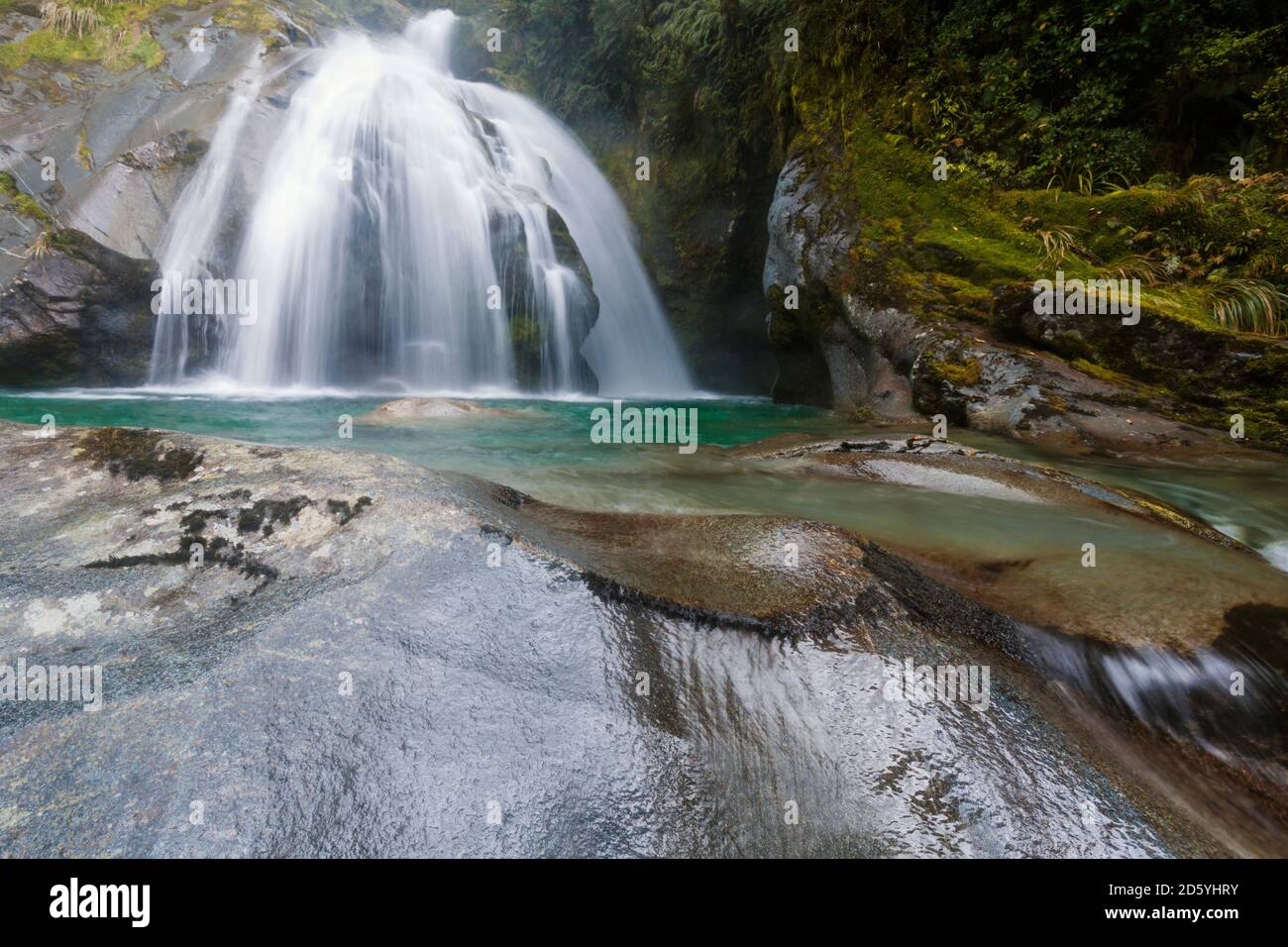 New Zealand, South Island, Milford Track, Milford Sound, waterfall ...