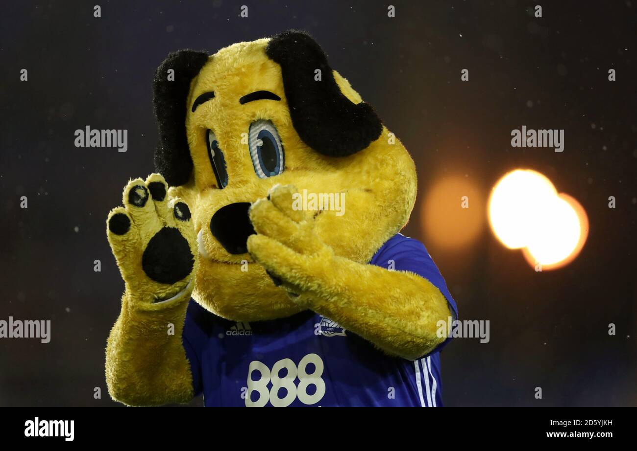 Birmingham City's Beau Brummie mascot before the game Stock Photo - Alamy