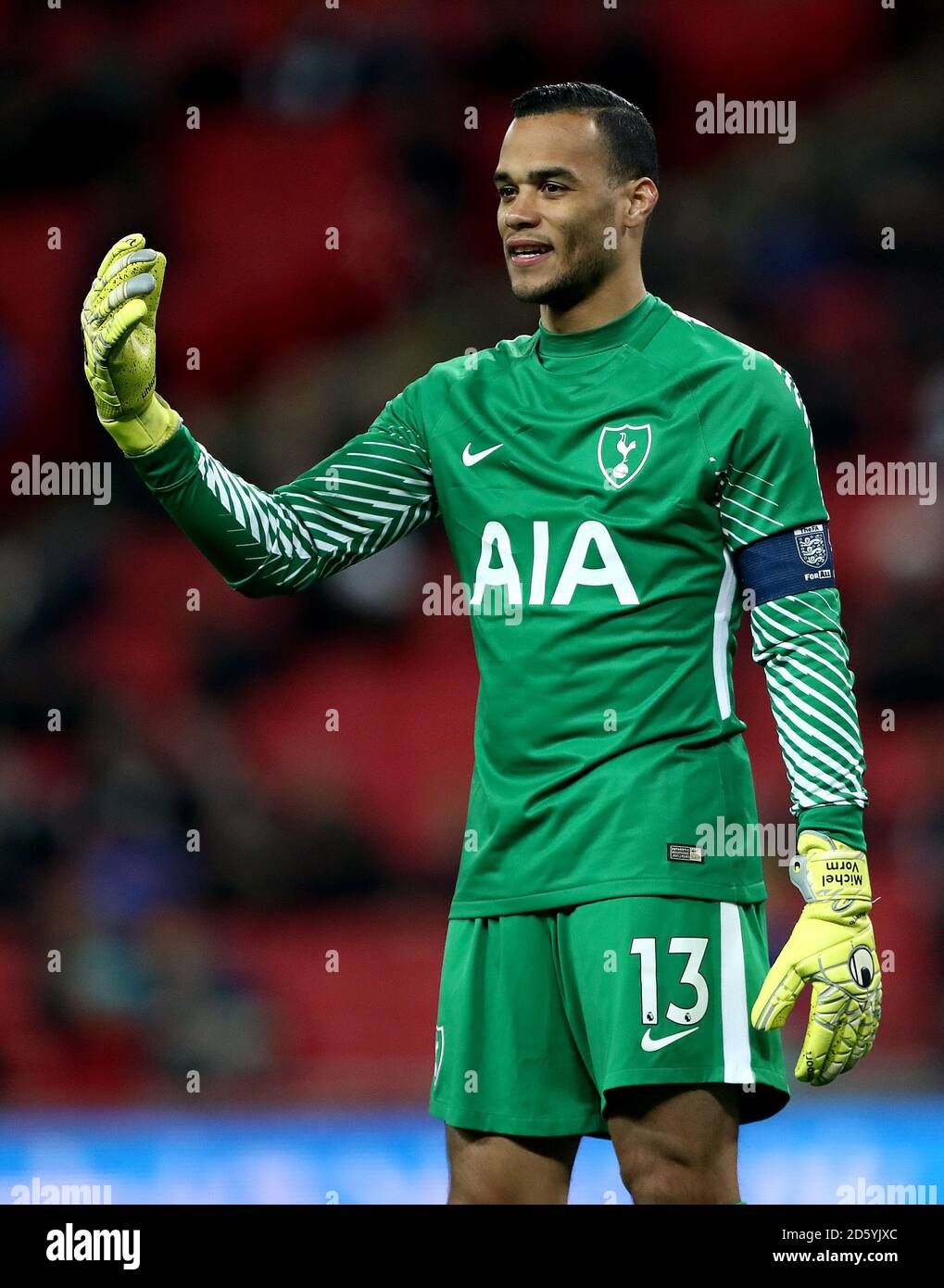 Tottenham Hotspur goalkeeper Michel Vorm Stock Photo - Alamy