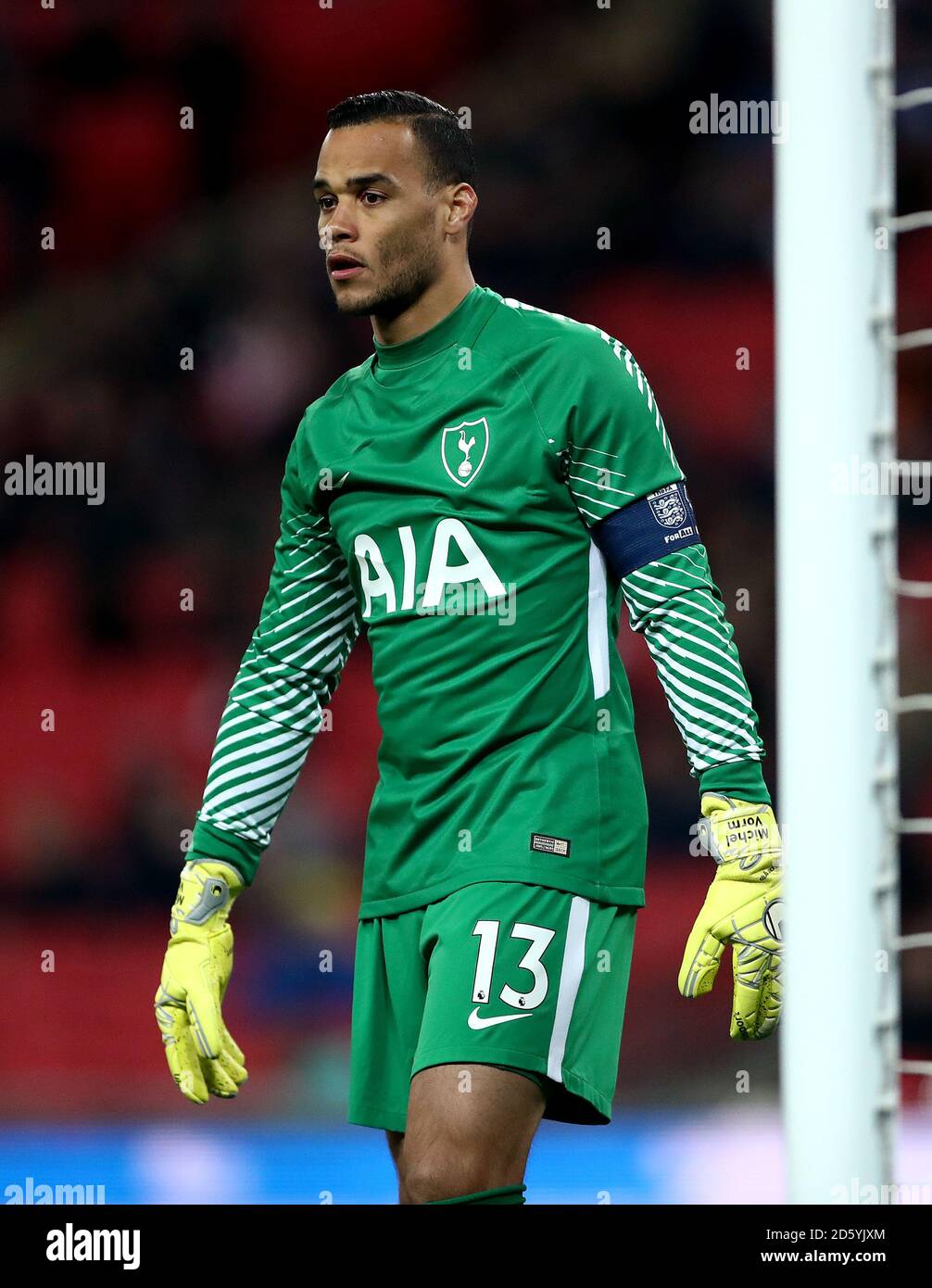 Tottenham Hotspur goalkeeper Michel Vorm Stock Photo - Alamy
