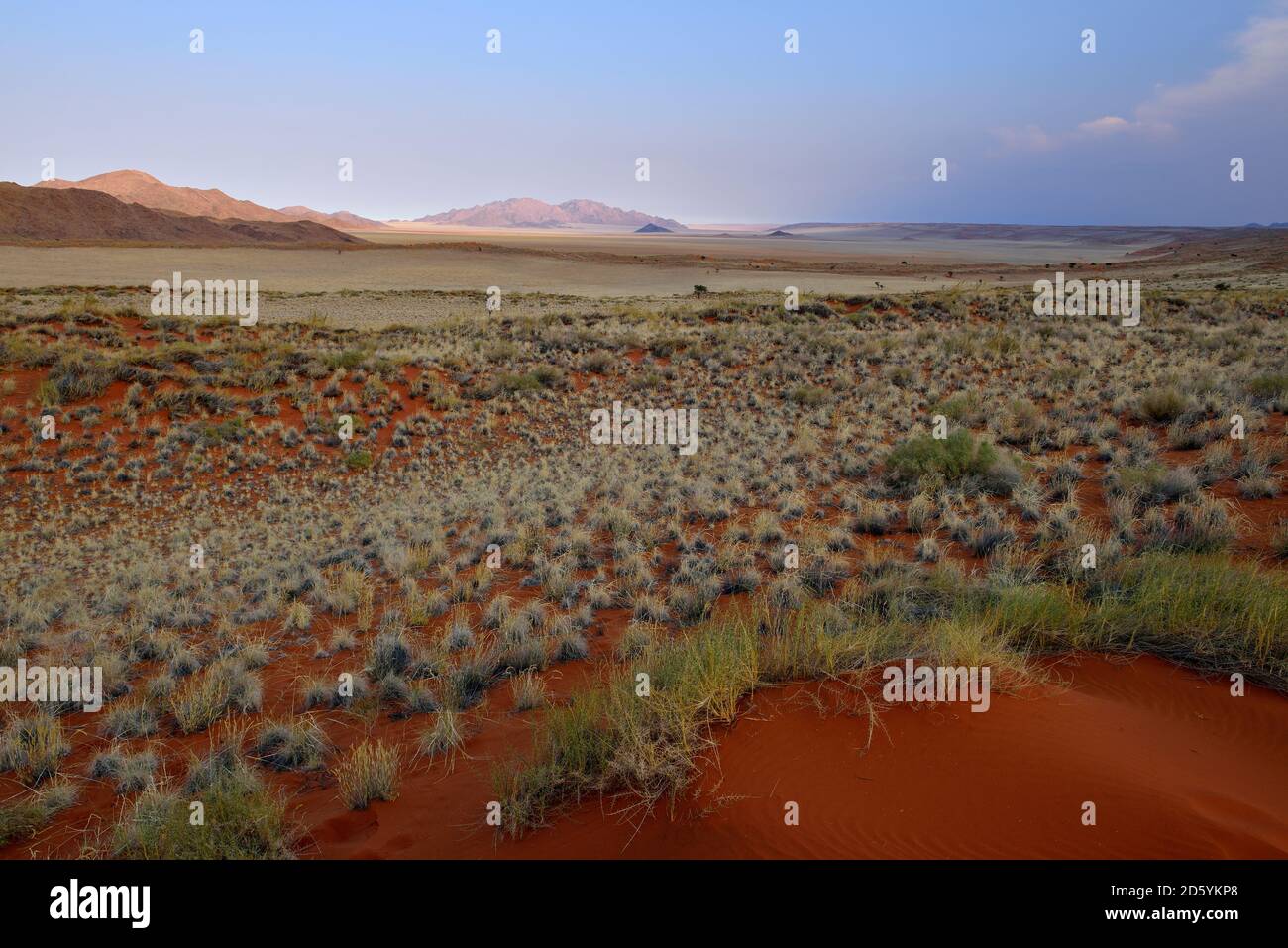 Namibia, Namib Desert, landscape at NamibRand Nature Reserve Stock ...
