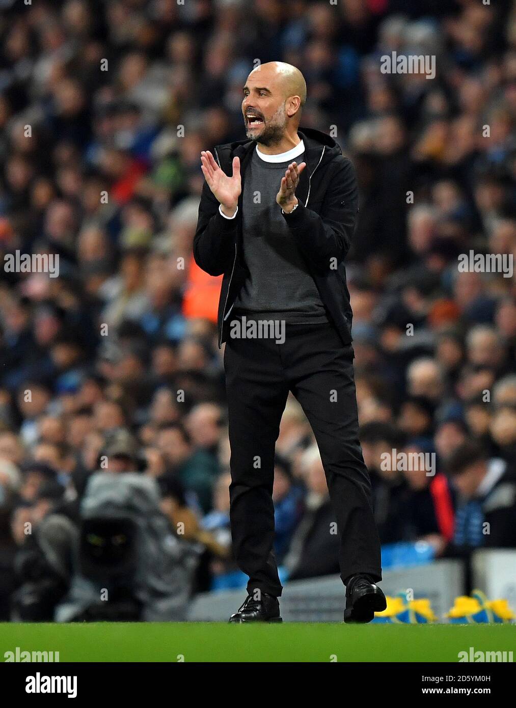 Manchester City manager Pep Guardiola Stock Photo - Alamy