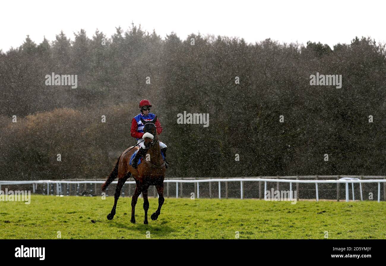Exeter racecourse hi-res stock photography and images - Alamy