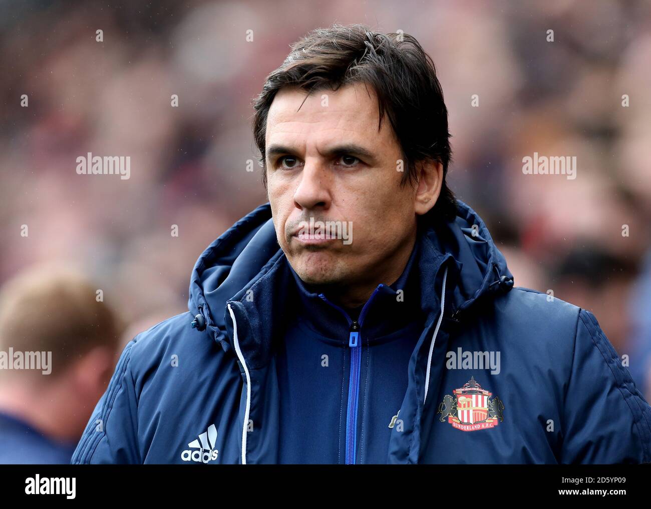 Sunderland Manager Chris Coleman prepares for kick off Stock Photo - Alamy