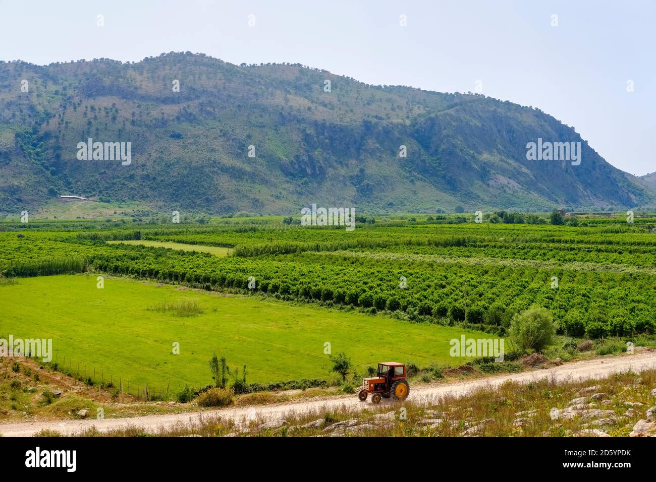 Albania, Vlore County, Konispol, tractor and plantations Stock Photo ...