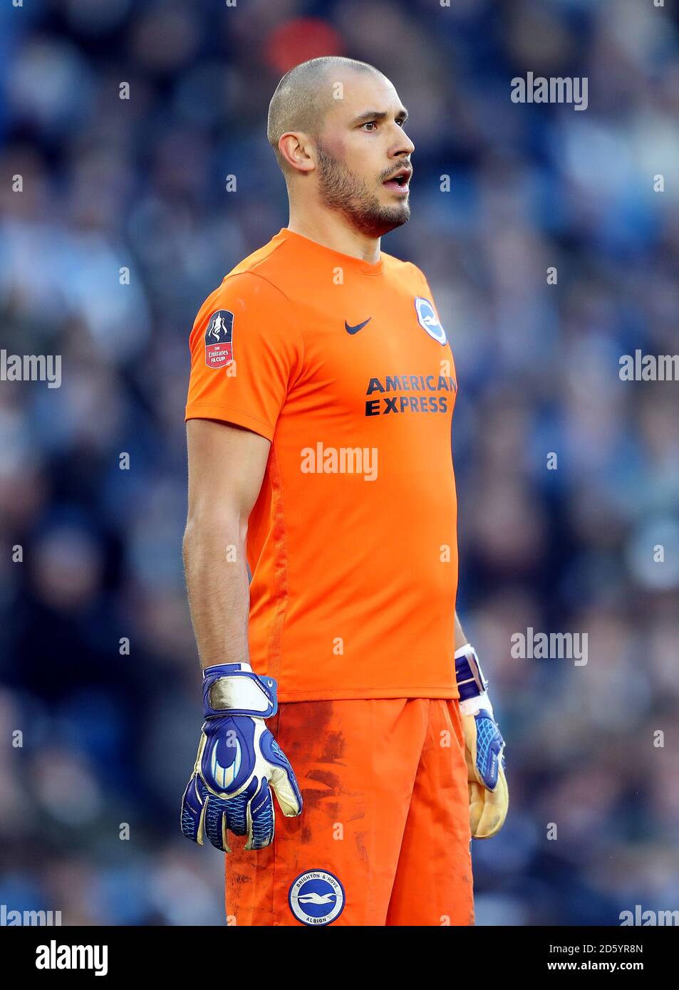 Brighton & Hove Albion goalkeeper Niki Maenpaa Stock Photo - Alamy