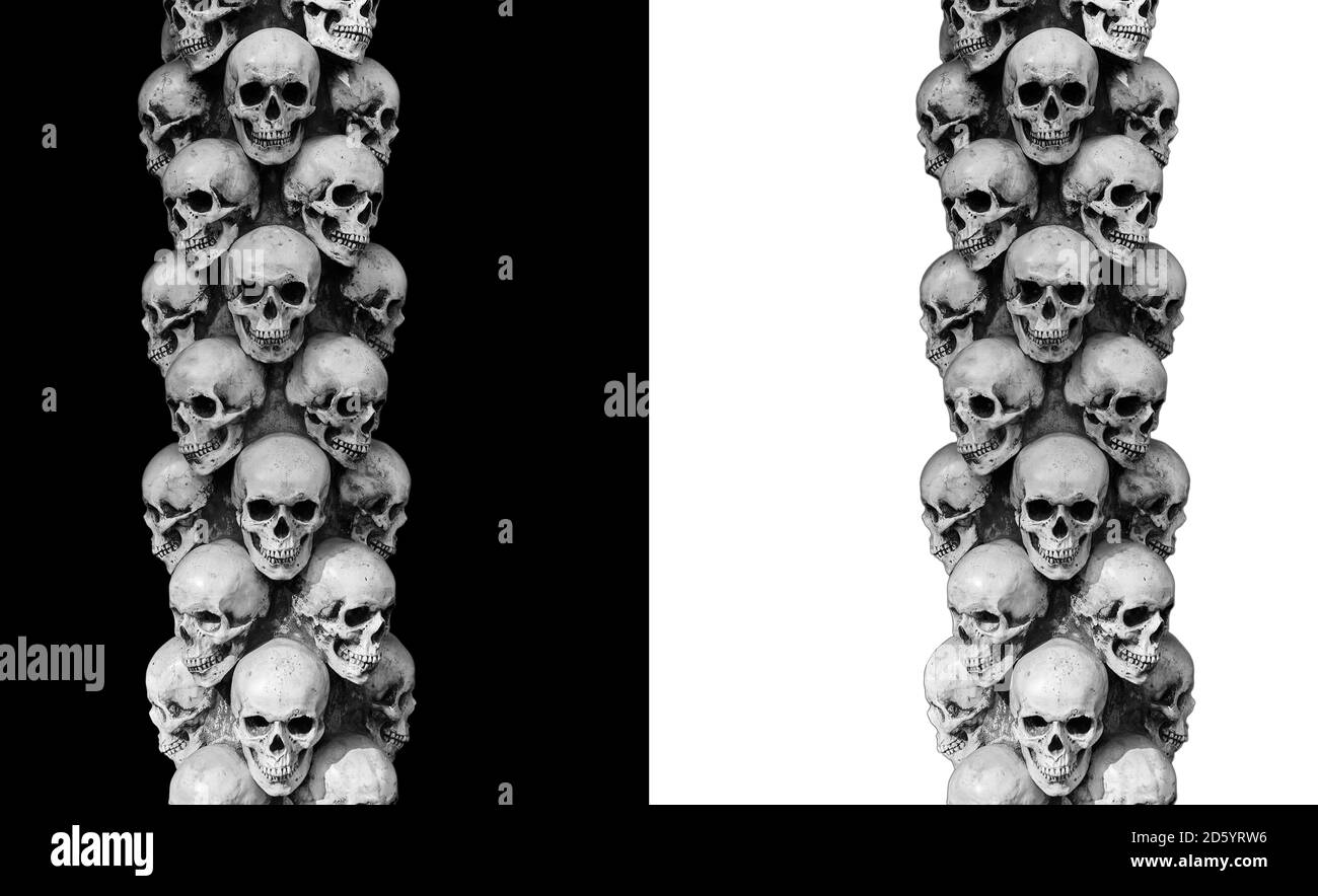 Many human skulls isolated on white and black background Stock Photo ...