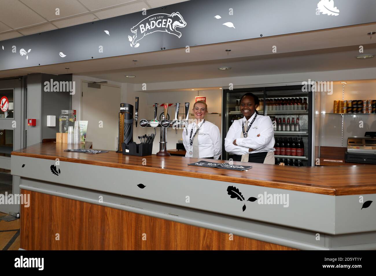 A general view of the Badger Bar Stock Photo - Alamy