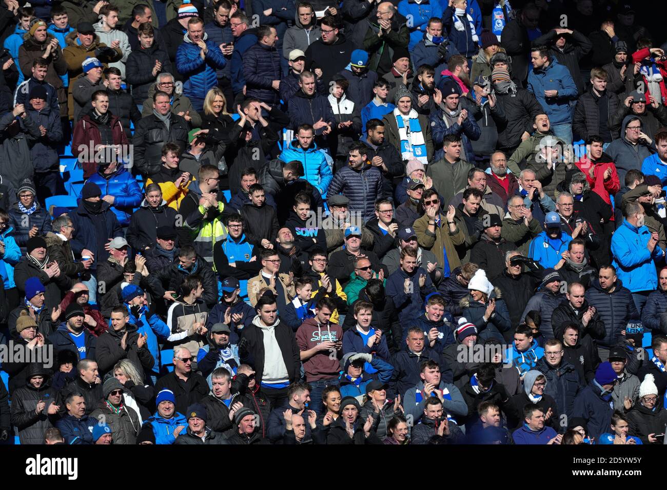 Cardiff City fans cheer their team Stock Photo - Alamy