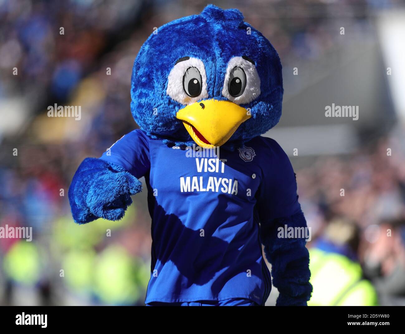 Cardiff City's Bluebird Mascot Stock Photo - Alamy