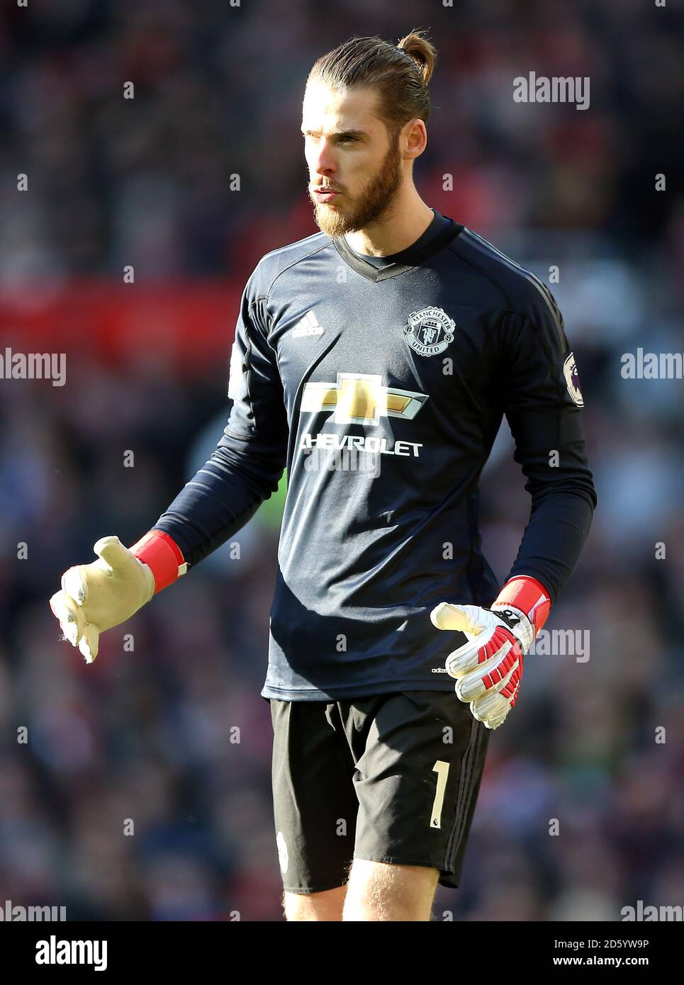 Manchester United goalkeeper David De Gea Stock Photo - Alamy