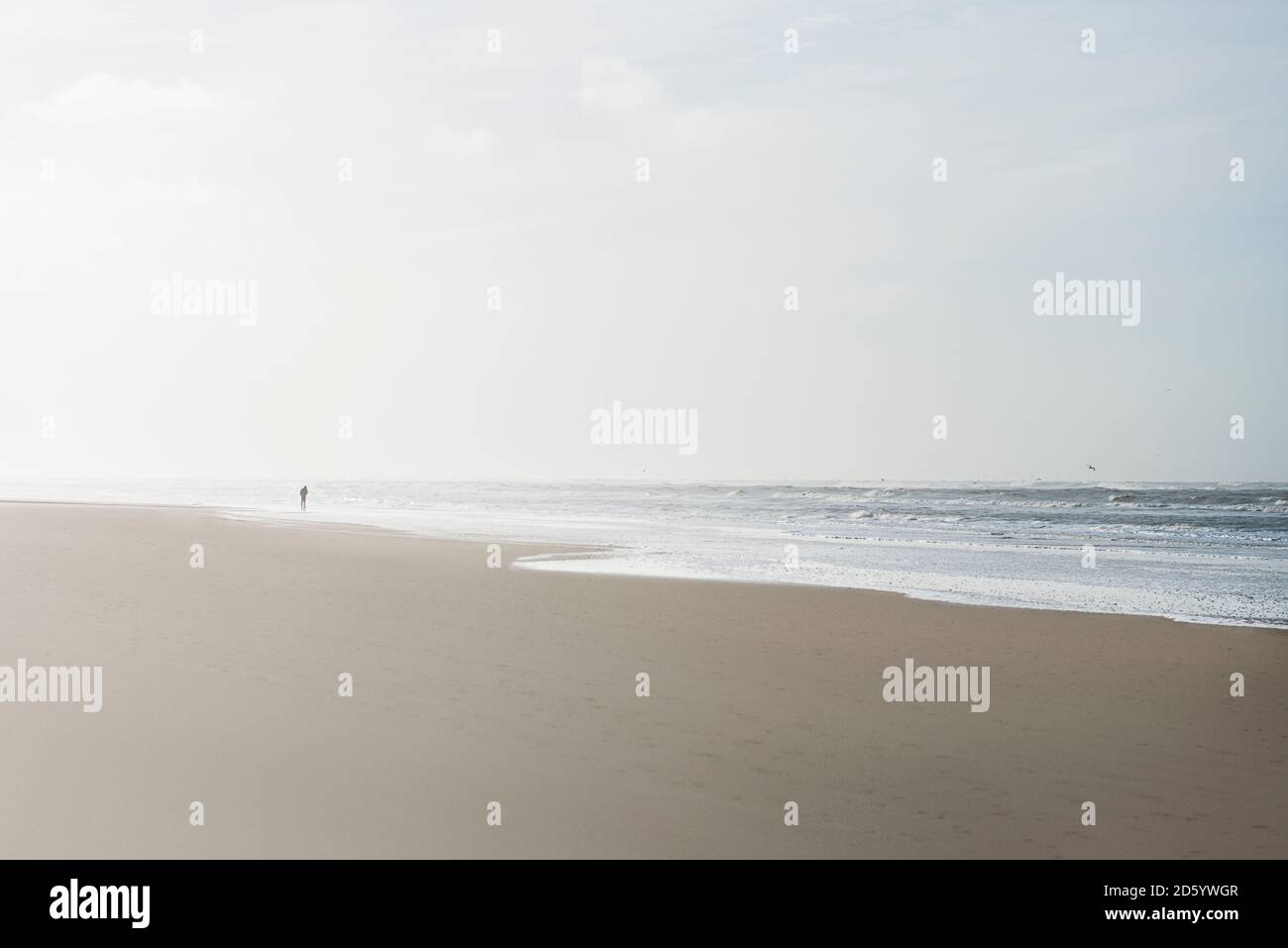 Denmark, Henne Strand, People walking at the beach Stock Photo - Alamy