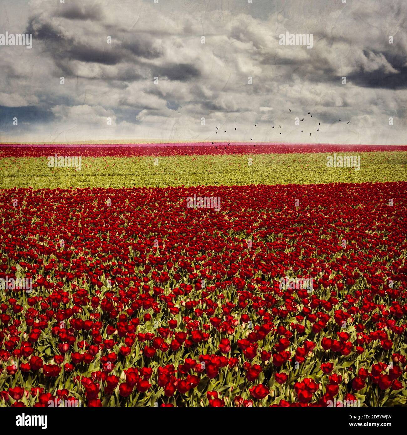 Juechen hi-res stock photography and images - Alamy