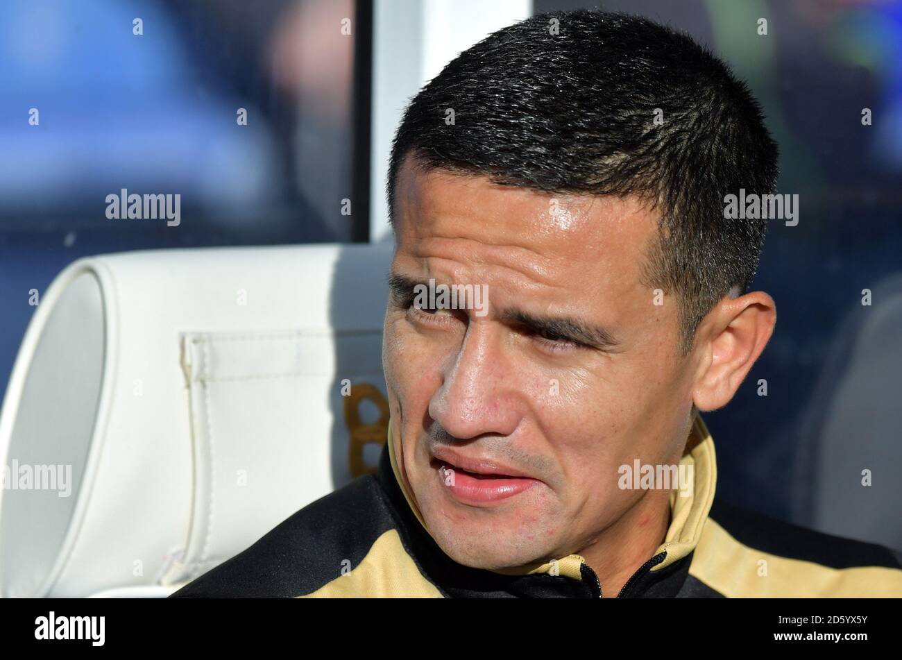 Millwall's Tim Cahill Stock Photo - Alamy