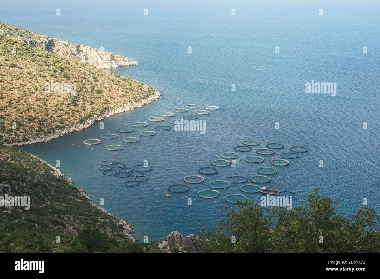 Fish farm greece hi-res stock photography and images - Alamy
