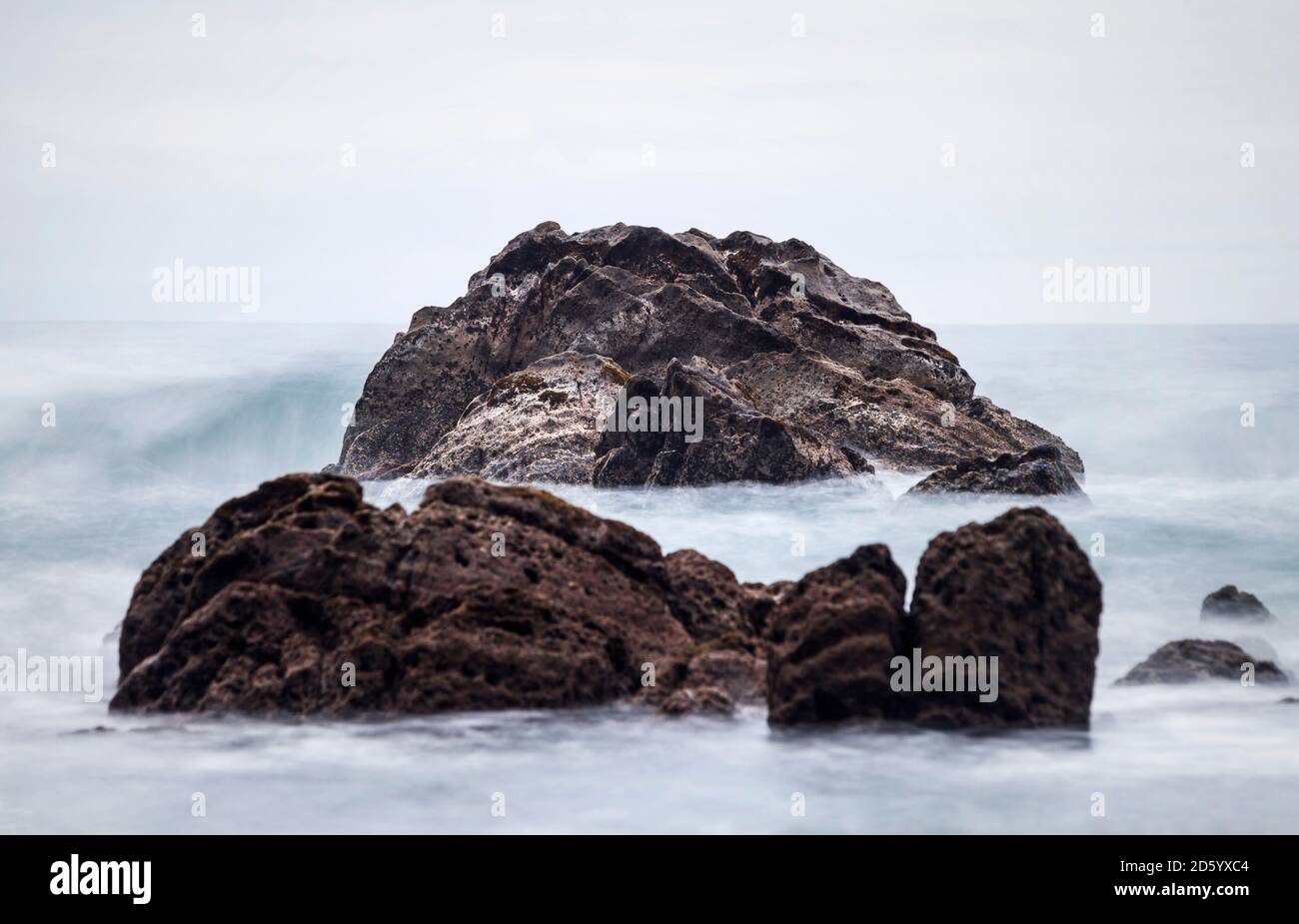 New Zealand, South Island, West Coast, Jackson Bay Stock Photo - Alamy