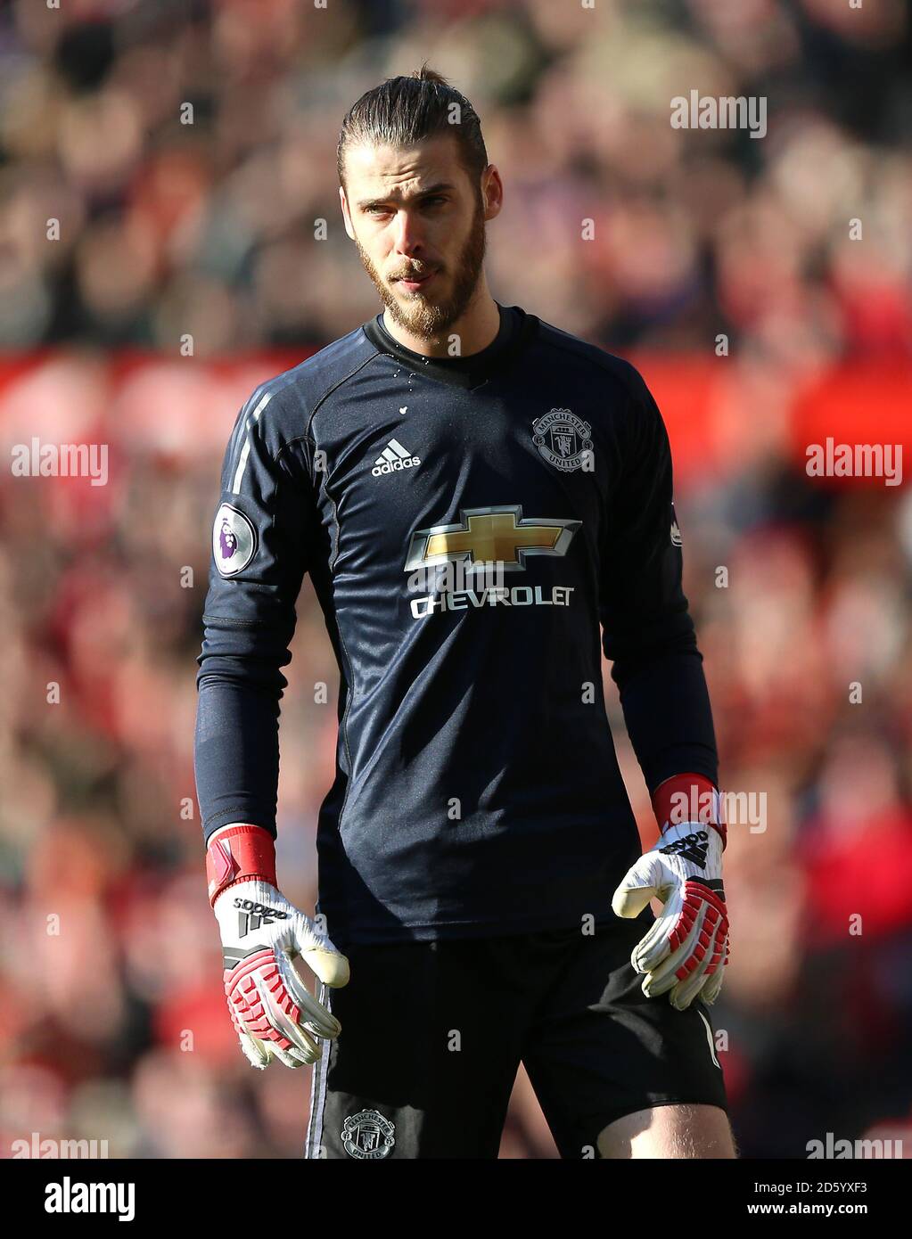Manchester United goalkeeper David De Gea Stock Photo - Alamy