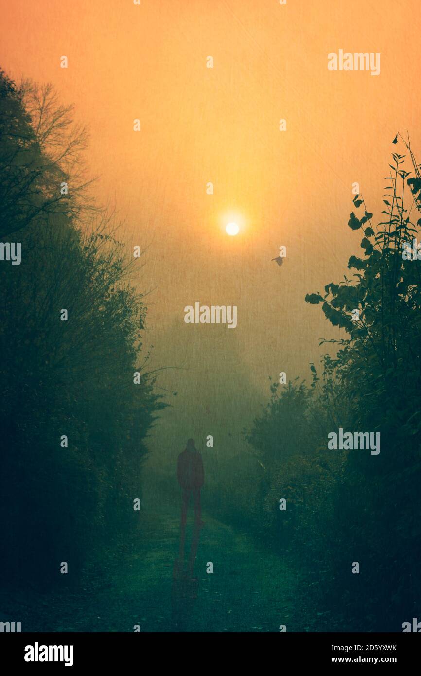 Man looking at morning sun hi-res stock photography and images - Alamy