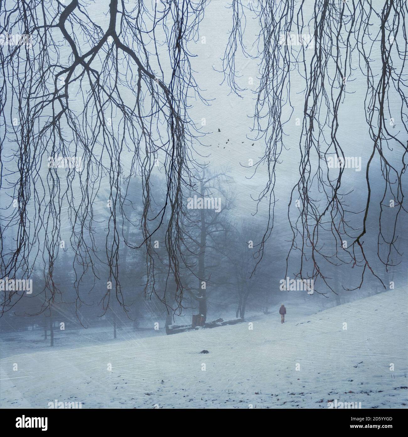 Germany covered in snow hi-res stock photography and images - Alamy