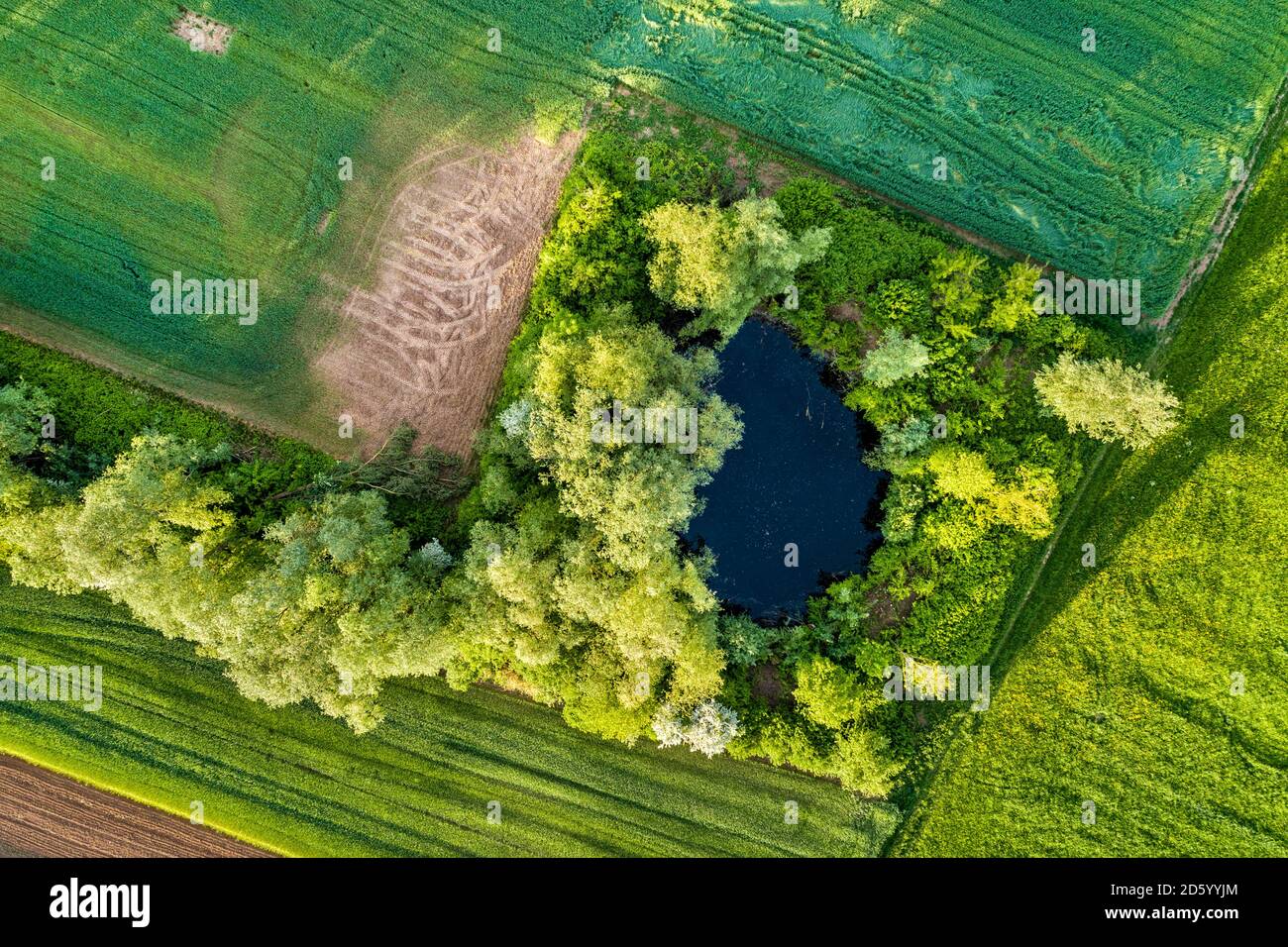 Aerial view of pond and fields hi-res stock photography and images - Alamy