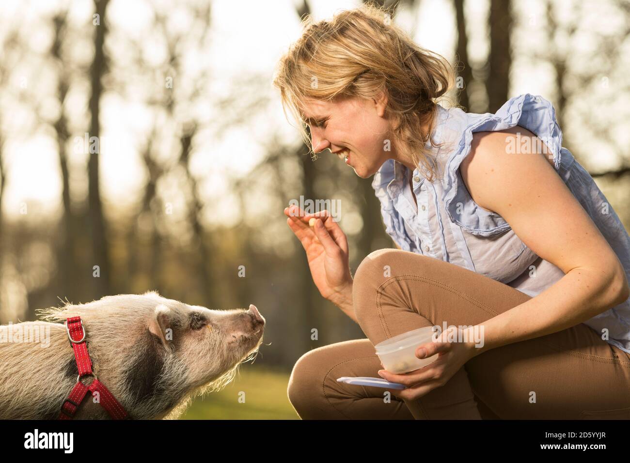 Woman feeding pig hi-res stock photography and images - Alamy