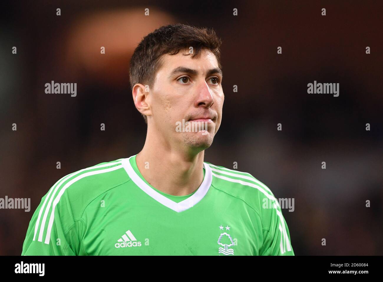 Costel Pantilimon, Nottingham Forest goalkeeper Stock Photo - Alamy