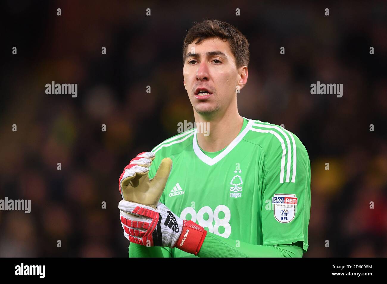 Costel Pantilimon, Nottingham Forest goalkeeper Stock Photo - Alamy