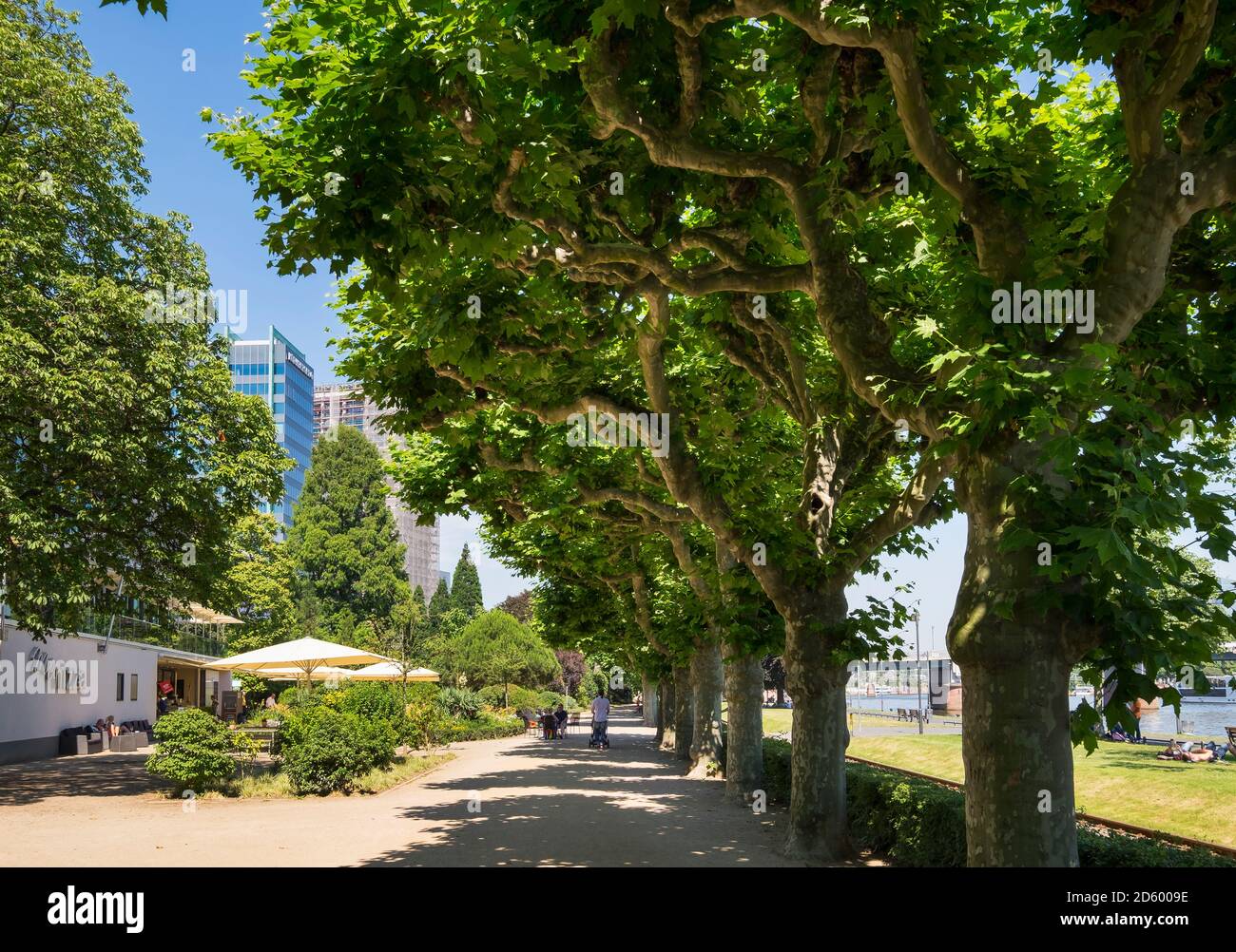 Germany, Frankfurt, promenade at River Main Stock Photo - Alamy