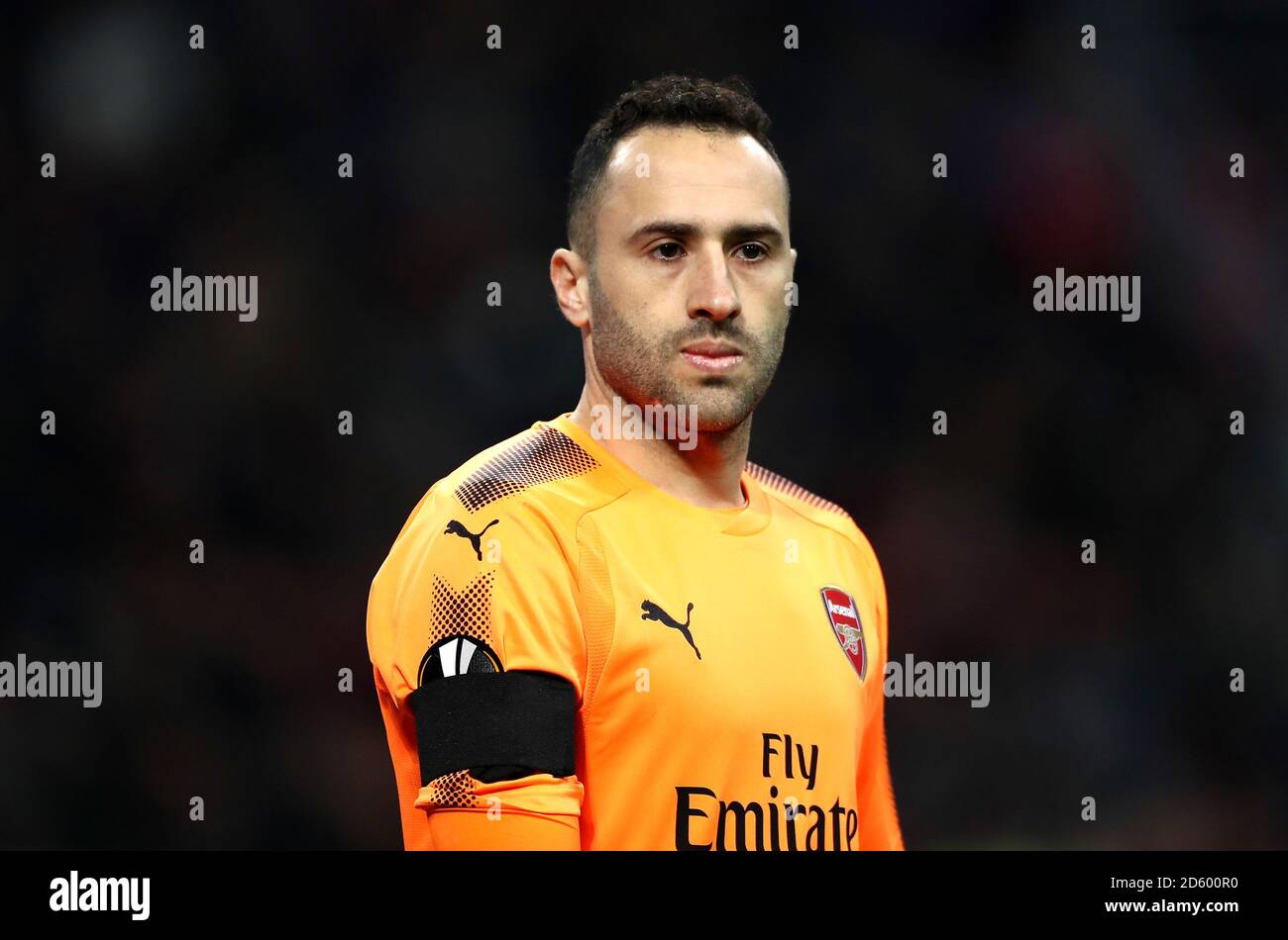 Arsenal goalkeeper David Ospina Stock Photo - Alamy