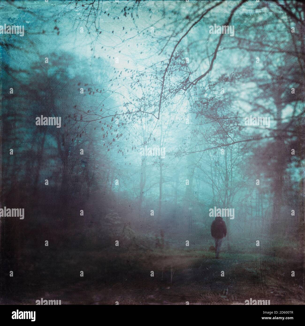 Man walking into forest hi-res stock photography and images - Alamy