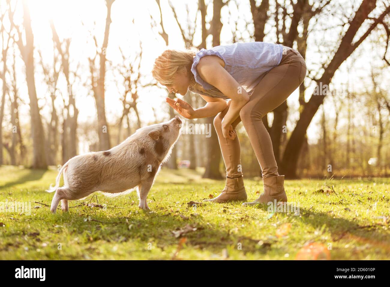 Woman taming piglet in park Stock Photo - Alamy