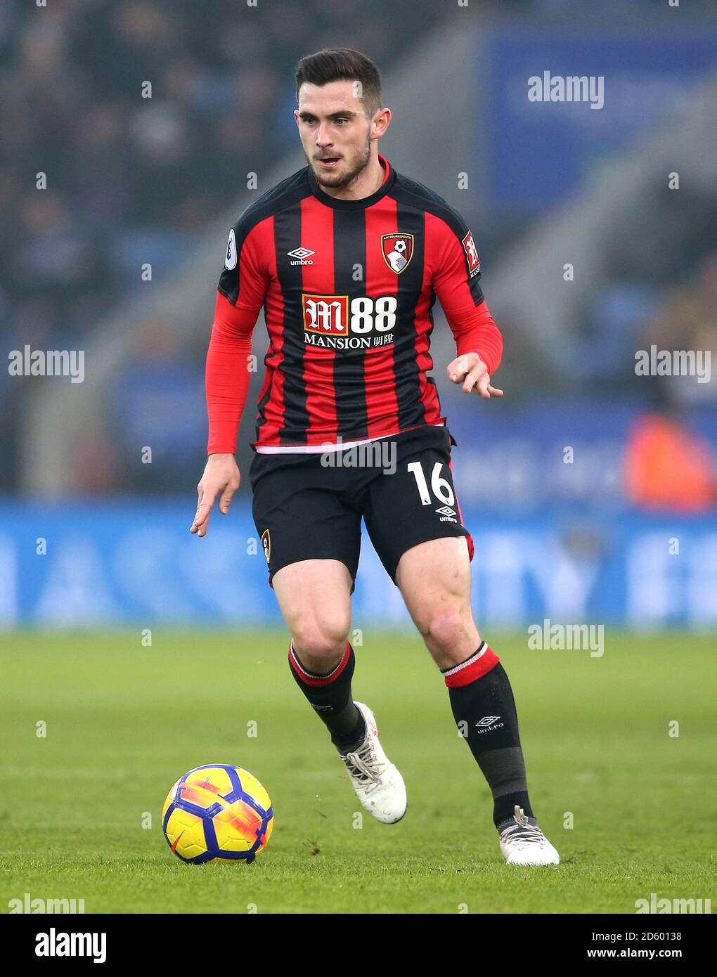 Lewis cook of bournemouth hi-res stock photography and images - Alamy
