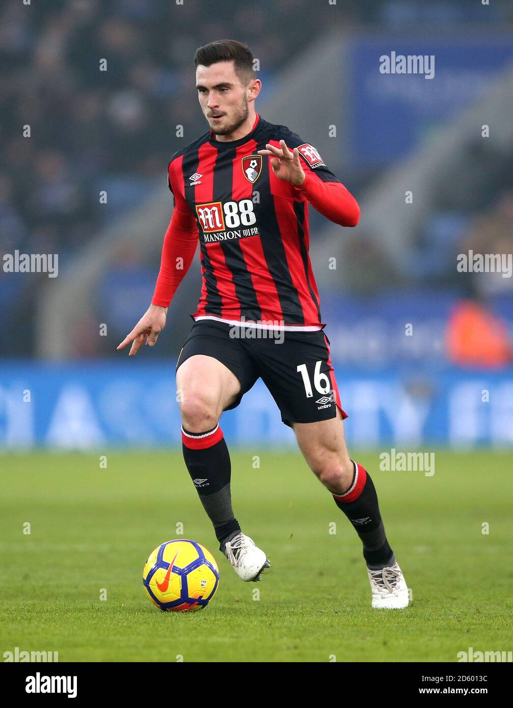 Lewis cook of bournemouth hi-res stock photography and images - Alamy