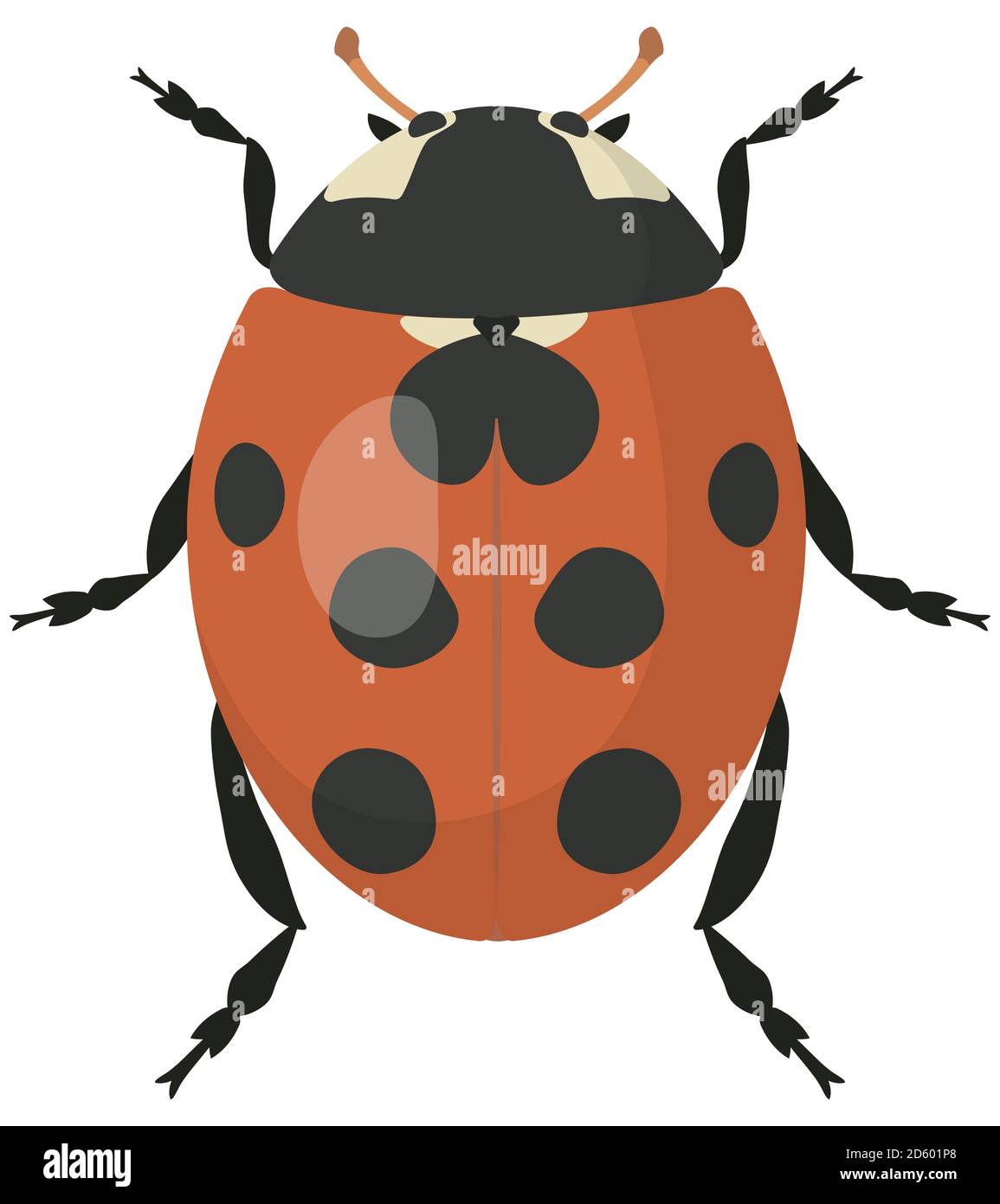 Cartoon beetle hi-res stock photography and images - Alamy