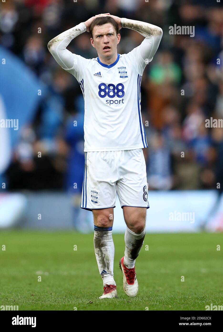 Birmingham citys craig gardner after hi-res stock photography and ...