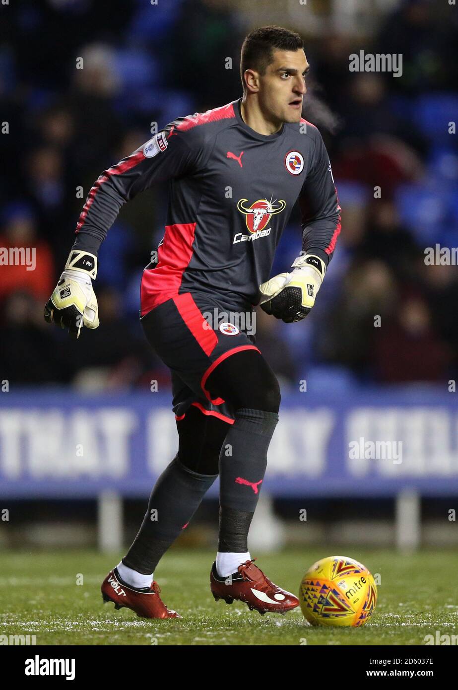 Reading goalkeeper Vito Mannone Stock Photo - Alamy