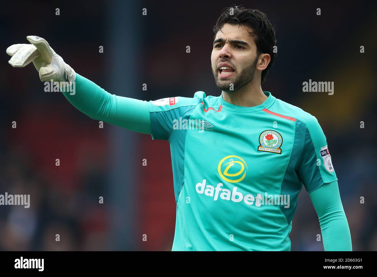 David Raya Martin, Blackburn Rovers goalkeeper Stock Photo - Alamy