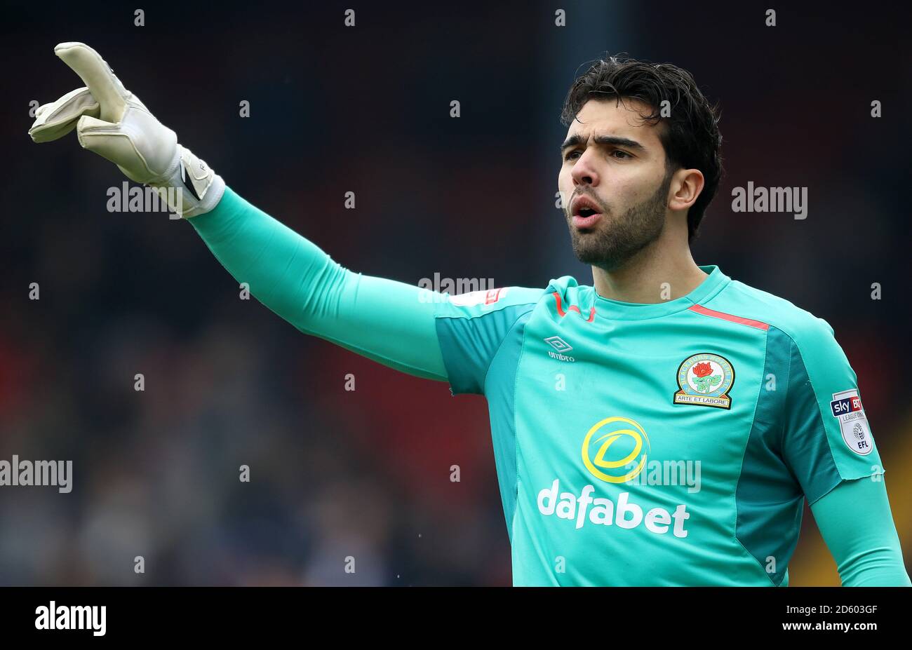 David Raya Martin, Blackburn Rovers goalkeeper Stock Photo - Alamy