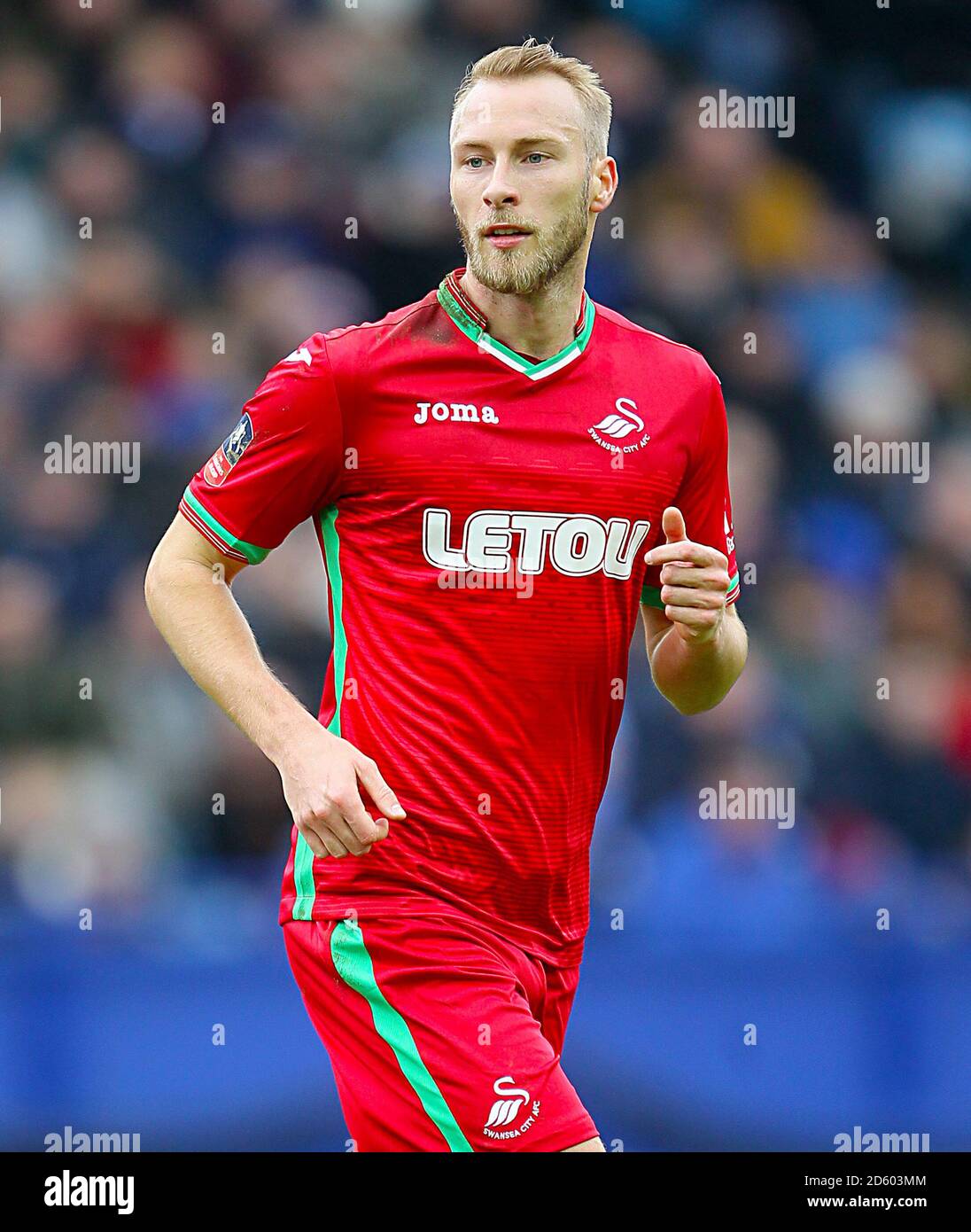 Swansea City's Mike van der Hoorn Stock Photo - Alamy