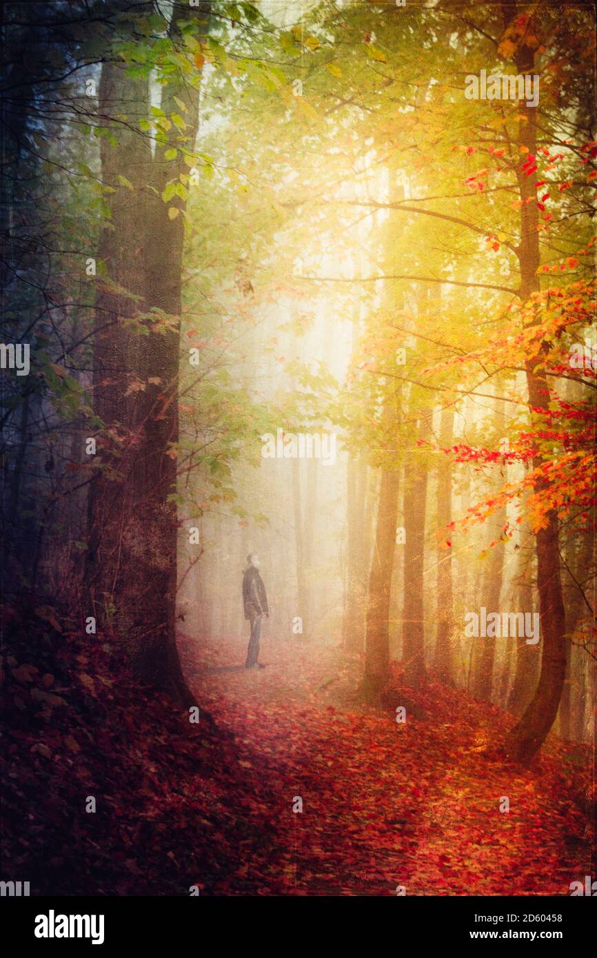 Resting on forest path person hi-res stock photography and images - Alamy