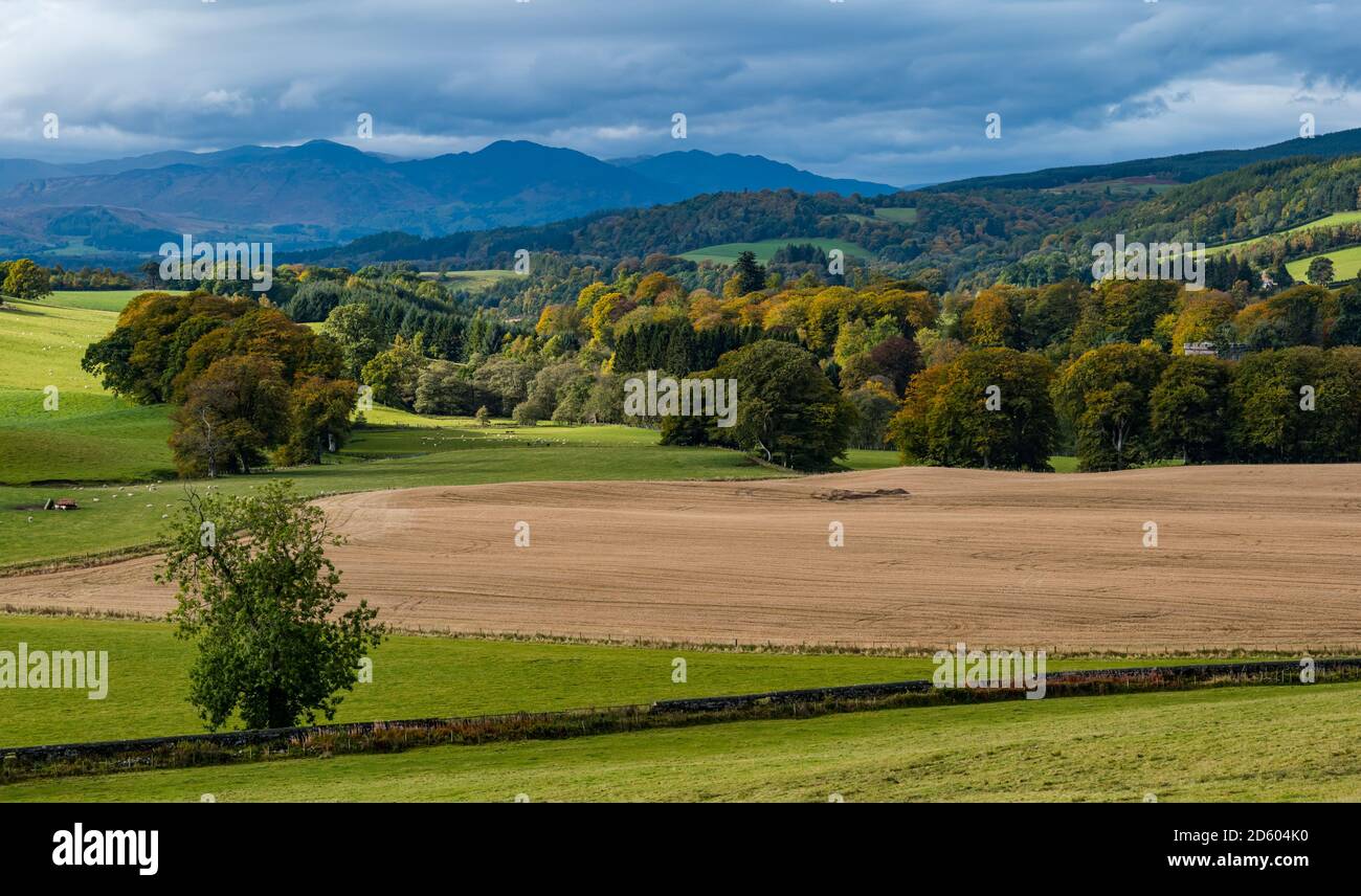 Monzie estate hi-res stock photography and images - Alamy