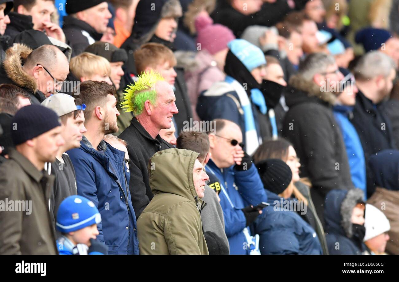 Fan mohawk hi-res stock photography and images - Alamy