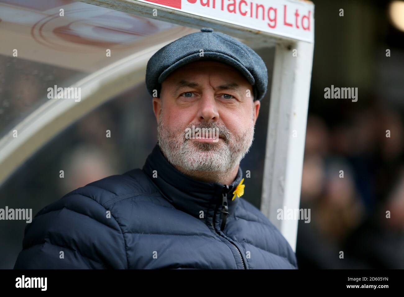 Daffodil appeal marie curie hi-res stock photography and images - Alamy