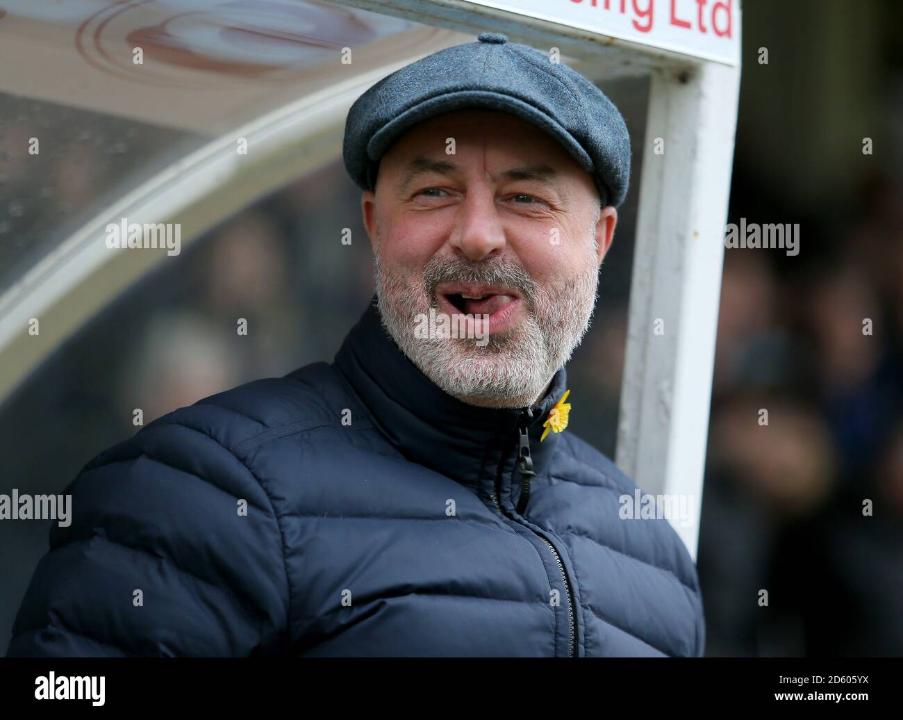 Daffodil appeal marie curie hi-res stock photography and images - Alamy