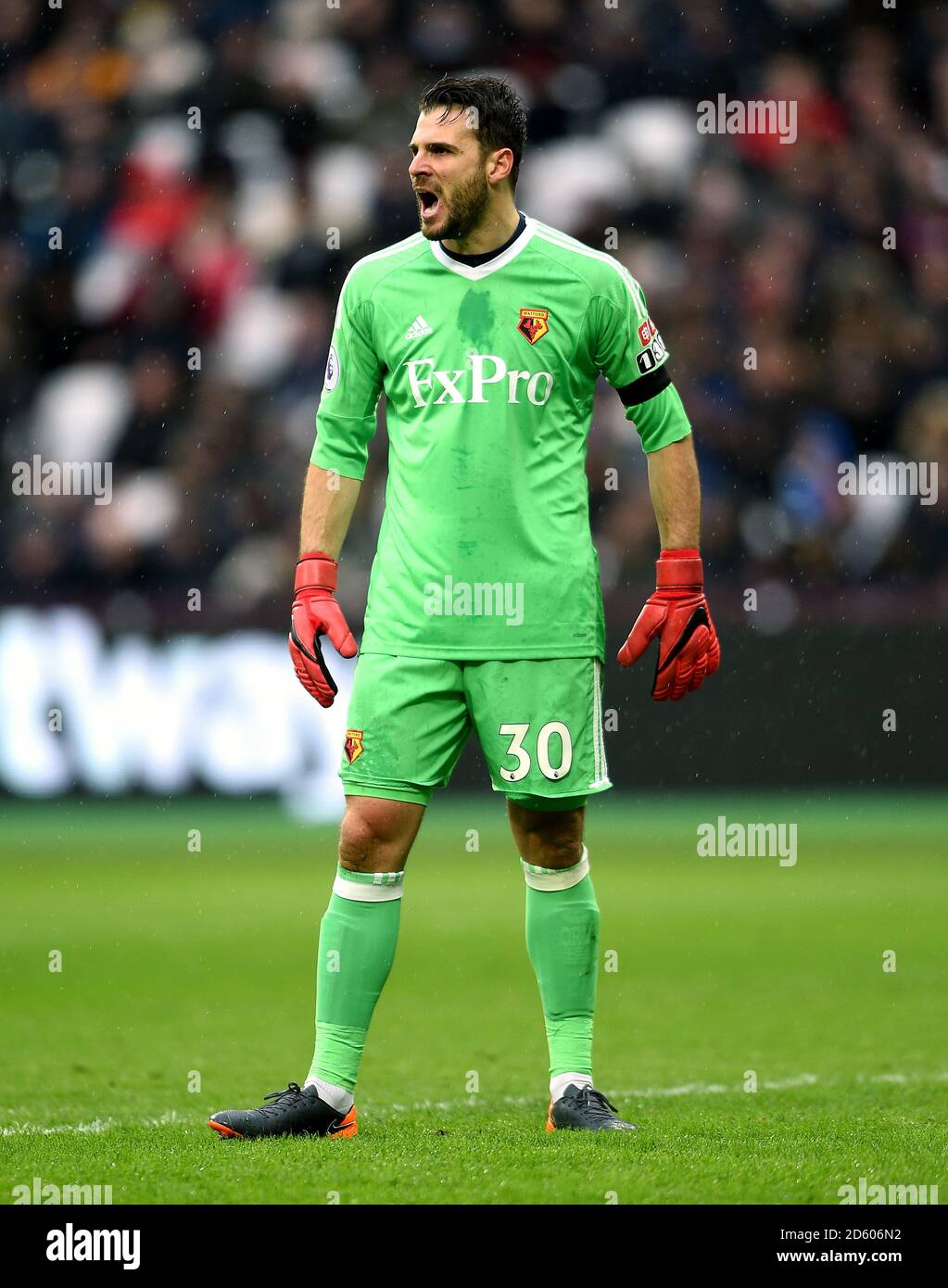 Watford goalkeeper Orestis Karnezis Stock Photo - Alamy
